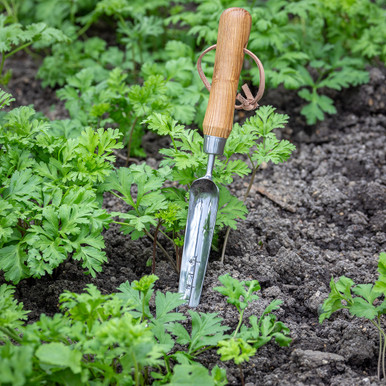 Buy Sarah Raven Seedling Trowel | Trowel | Sarah Raven