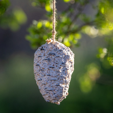Suet Hanging Pine Cone | Bird Food | Sarah Raven