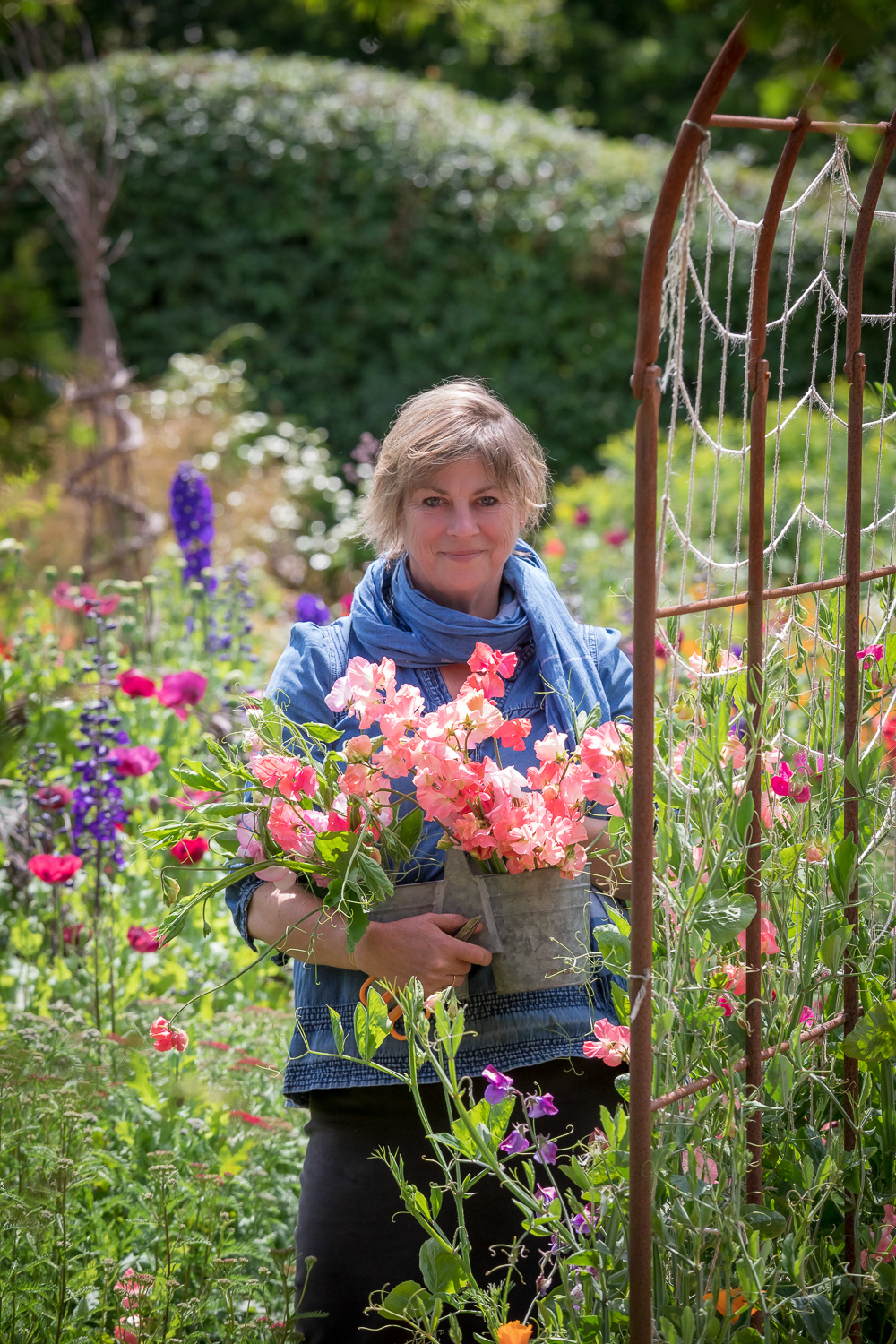 Shop Cutting Garden Flower Seeds - Page 4 | Sarah Raven