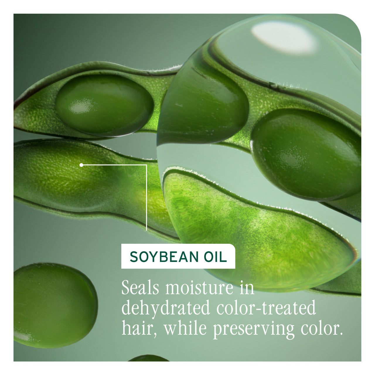 Biolage Color Last Shampoo - Vivo Hair Salon and Skin Clinic