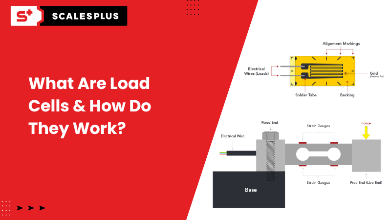What Are Load Cells and How Do They Work? - Scales Plus