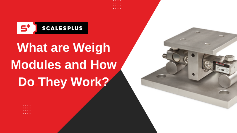 What are Weigh Modules and How Do They Work? - Scales Plus