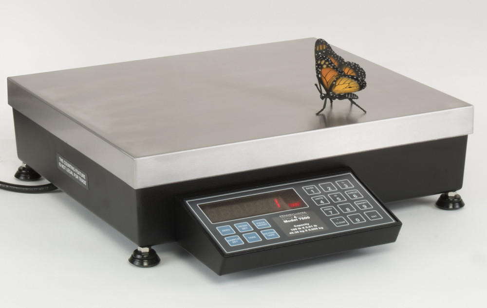 Pennsylvania Scale 7600-150 Bench Counting Scale, 150 lb x 0.02 lb ...