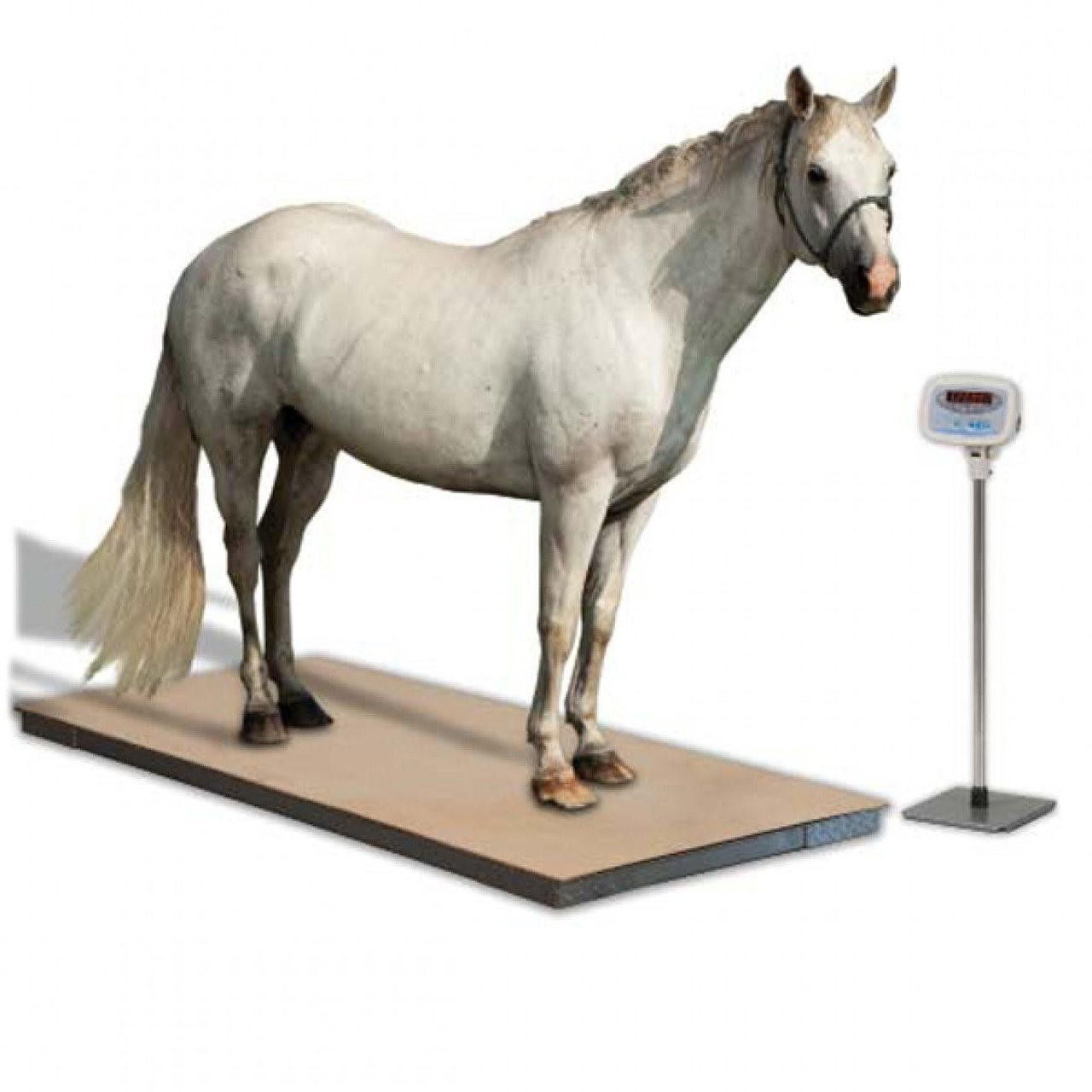 Brecknell PS3000HD Veterinary Floor Scale, 3000 lb x 1 lb - Scales Plus