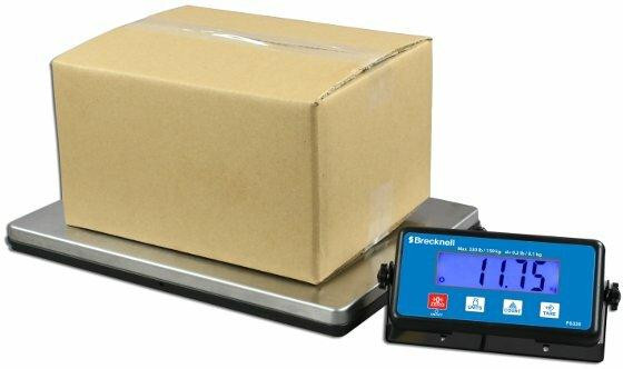 Brecknell MS140-300 Medical Handrail Scale, 660 lb x 0.2 lb - Scales Plus