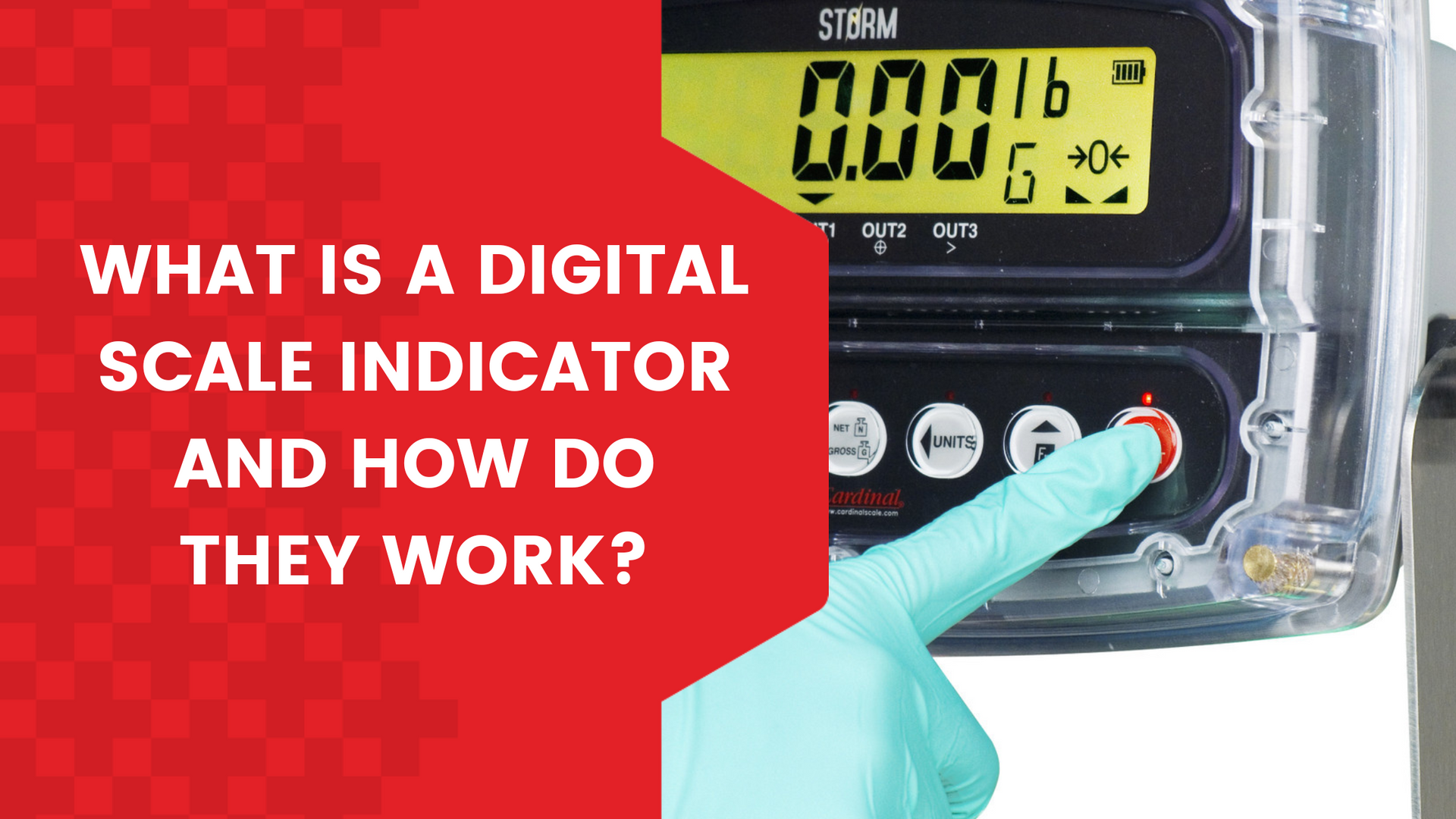 What is a Digital Scale Indicator and How Do They Work? - Scales Plus
