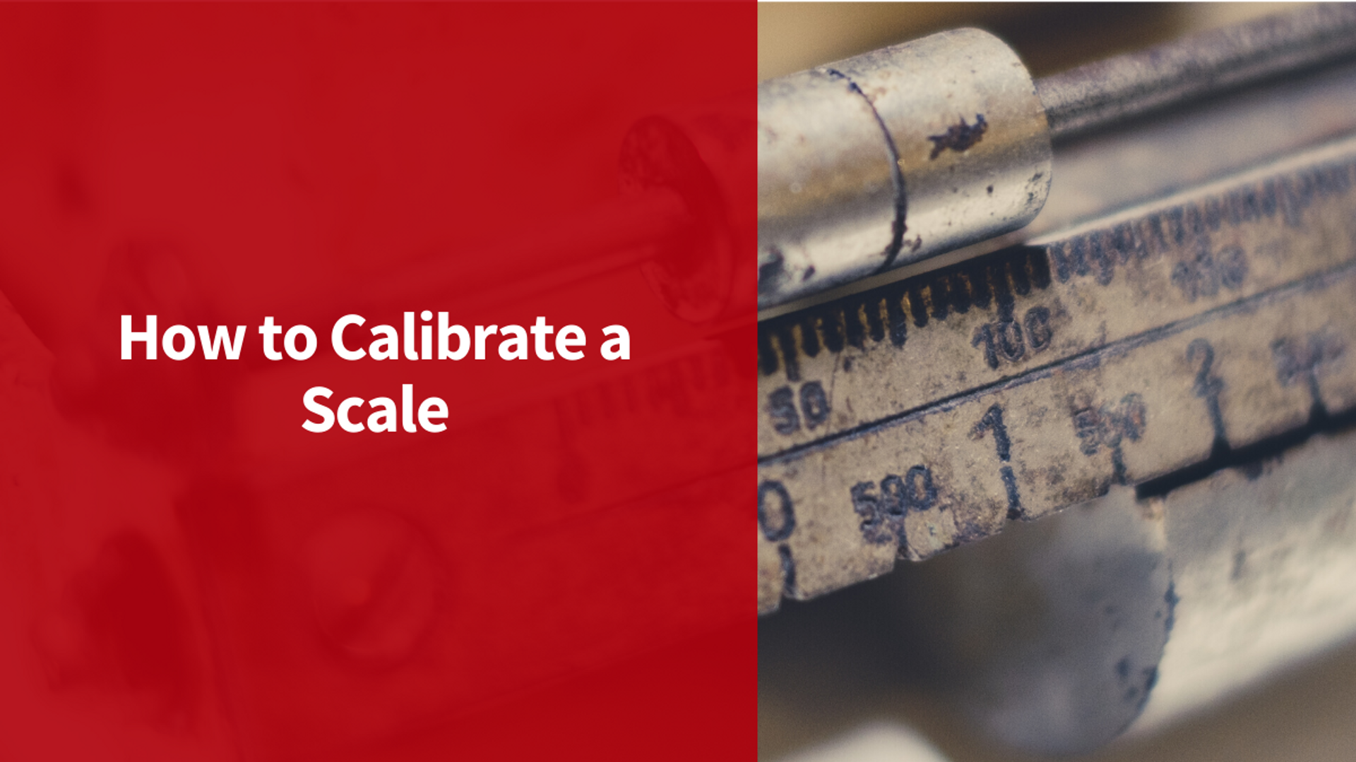 How To Calibrate A Scale Scales Plus how-to-calibrate-a-scale-scales-plus
