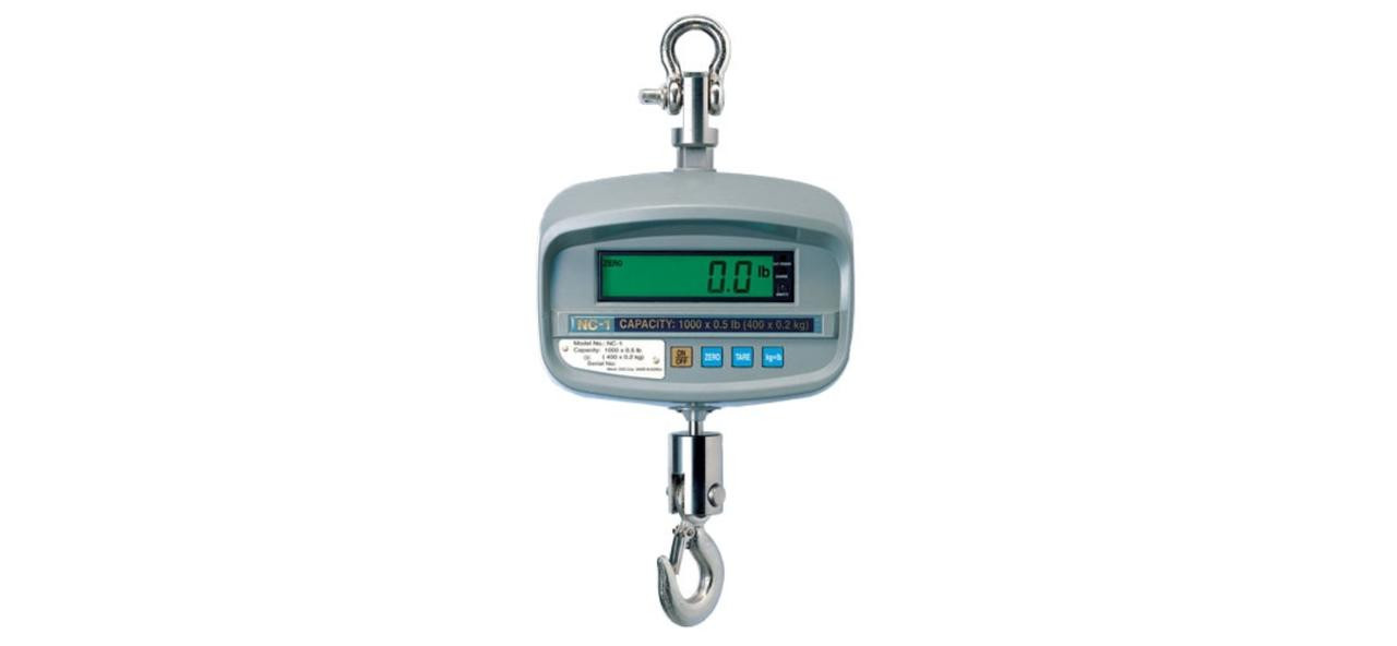 Crane Scales | Digital Crane Scales | Heavy-Capacity Overhead Weighing ...