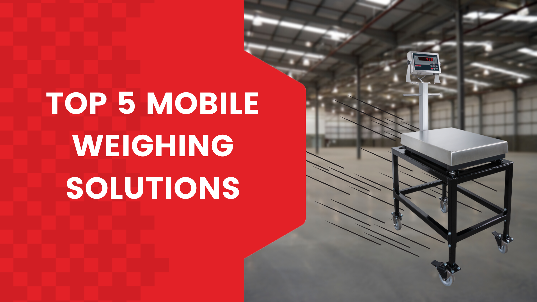 The Top 5 Mobile Weighing Solutions - Scales Plus