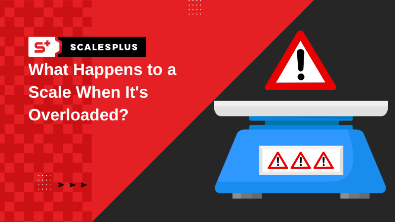 What Happens to a Scale When It's Overloaded? - Scales Plus