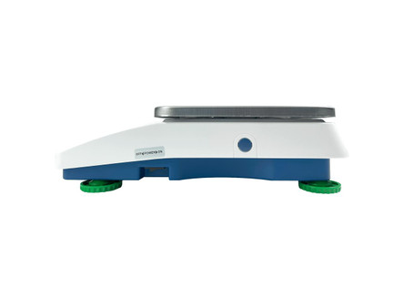 Tree SCT 7 Counting Scale | Scales Plus