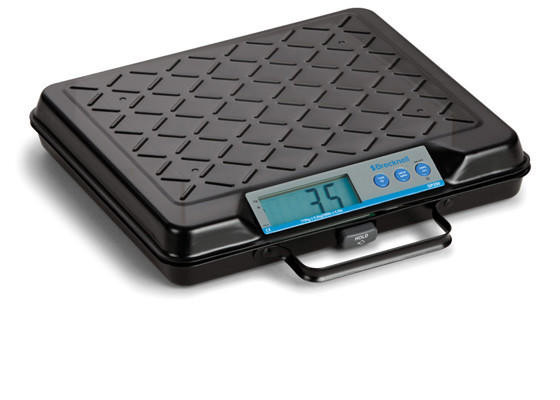 Brecknell MS140-300 Medical Handrail Scale, 660 lb x 0.2 lb - Scales Plus