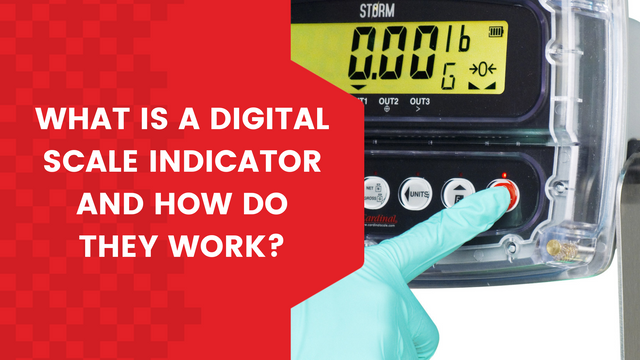What is a Digital Scale Indicator and How Do They Work? - Scales Plus