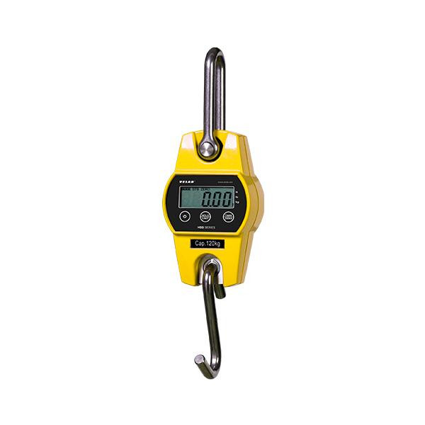 Crane Scales | Digital Crane Scales | Heavy-Capacity Overhead Weighing ...
