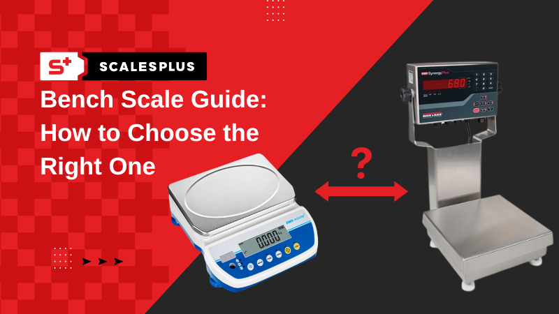 Bench Scale Guide - How to Choose the Right One - Scales Plus