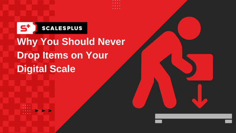 Why You Should Never Drop Items on Your Digital Scale - Scales Plus