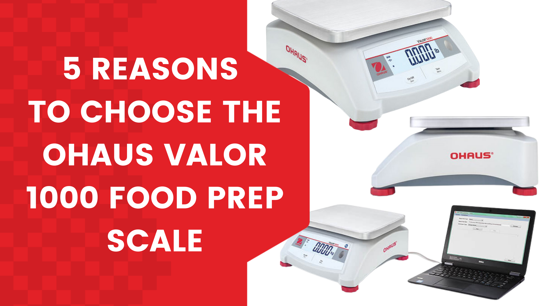 The OHAUS Valor 1000: 5 Reasons to Choose this Fantastic Food Prep ...