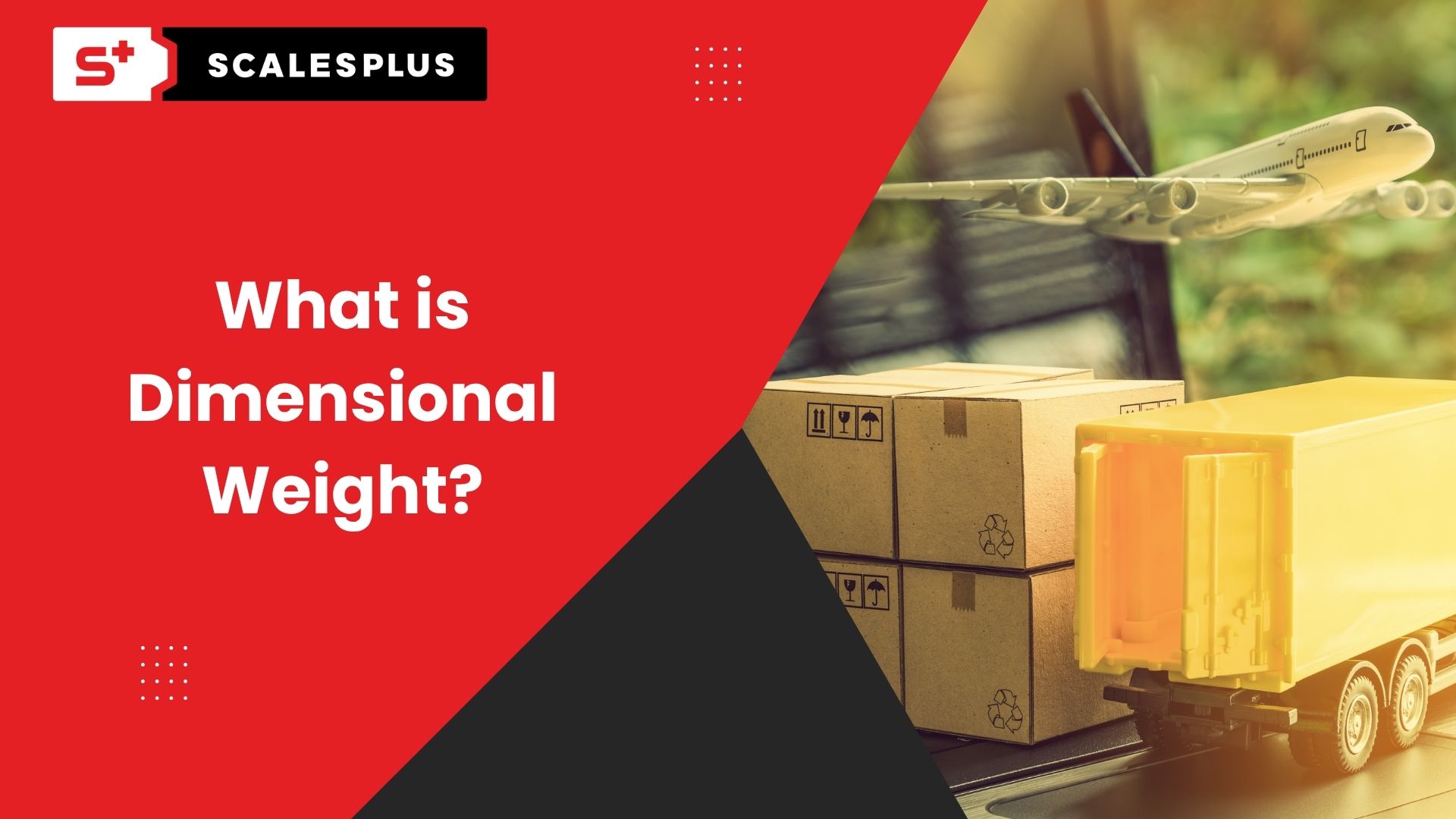 What is Dimensional Weight and How is it Calculated? - Scales Plus