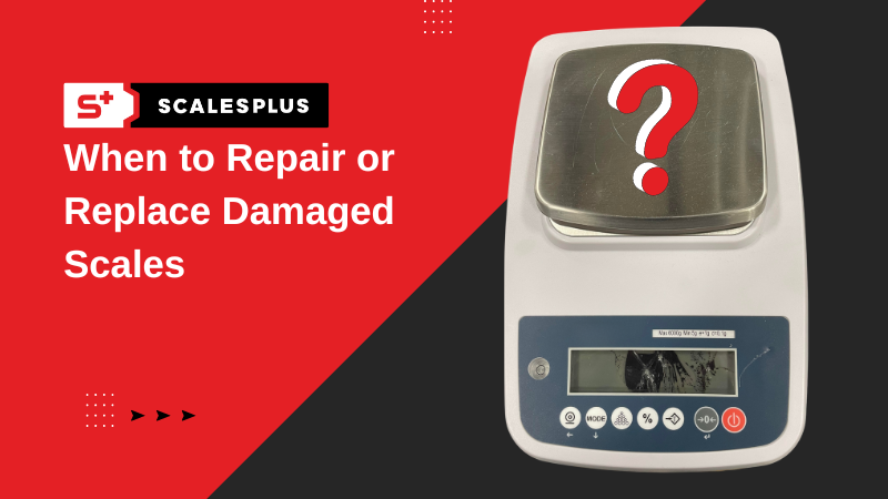When to Repair or Replace Damaged Scales - Scales Plus