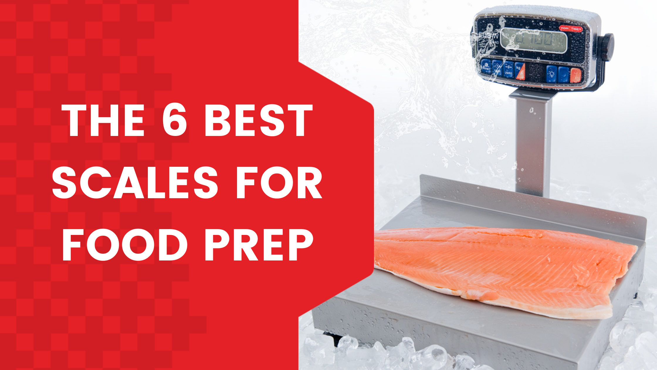 The 6 Best Scales for Food Prep - Scales Plus