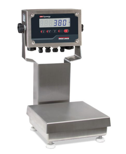 Rice Lake Ready-n-Weigh CW-90B-380-25 Bench Scale | Scales Plus