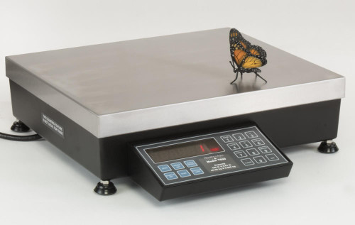Pennsylvania Scale 7600-50 Bench Counting Scale, 50 lb x 0.005 lb, NTEP ...