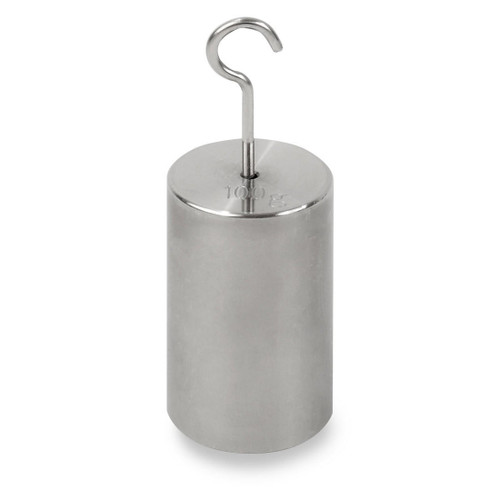 Troemner 100 G Stainless Steel Hook Weight Traceable Certificate Astm