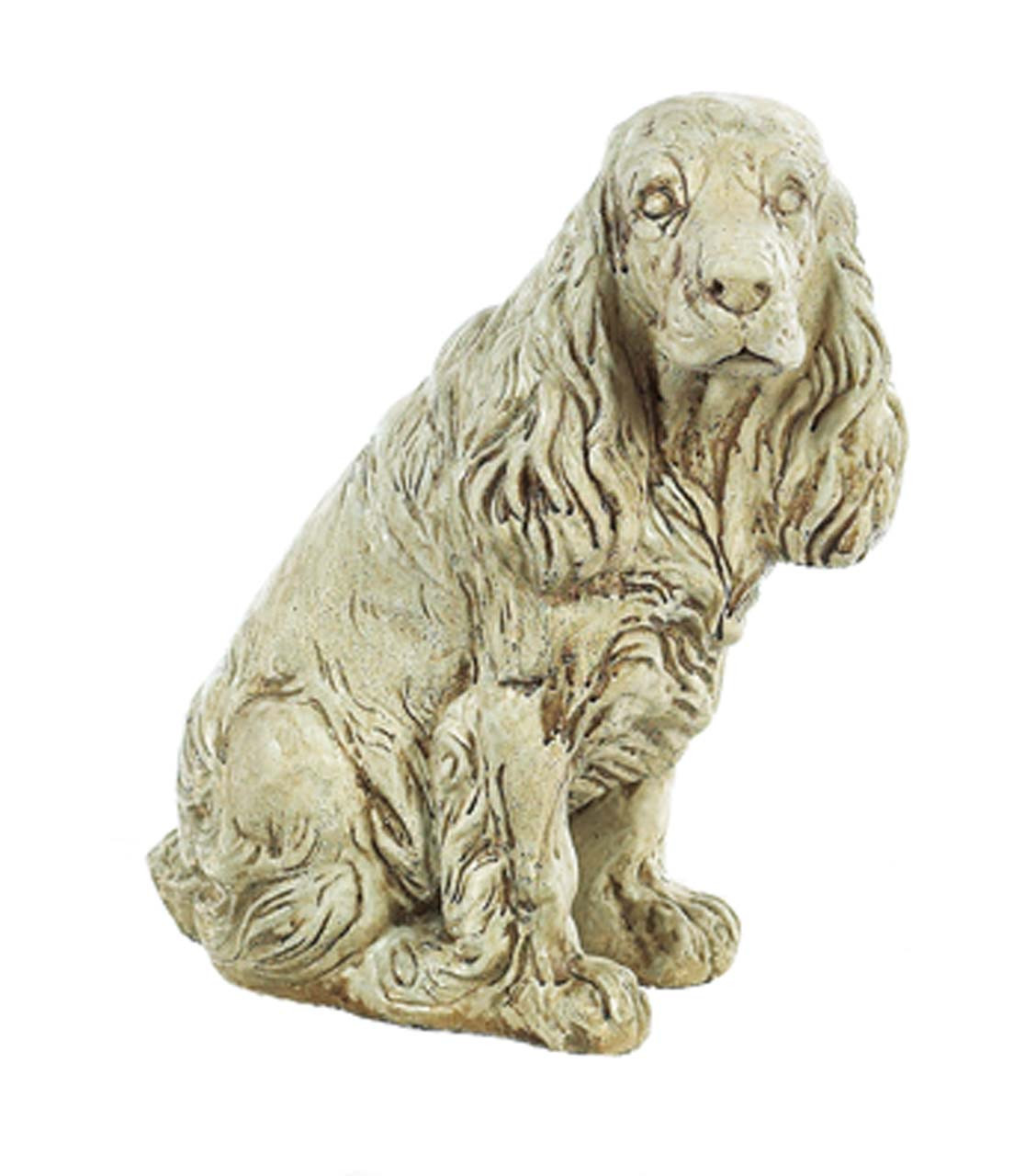 Big Cocker Spaniel
