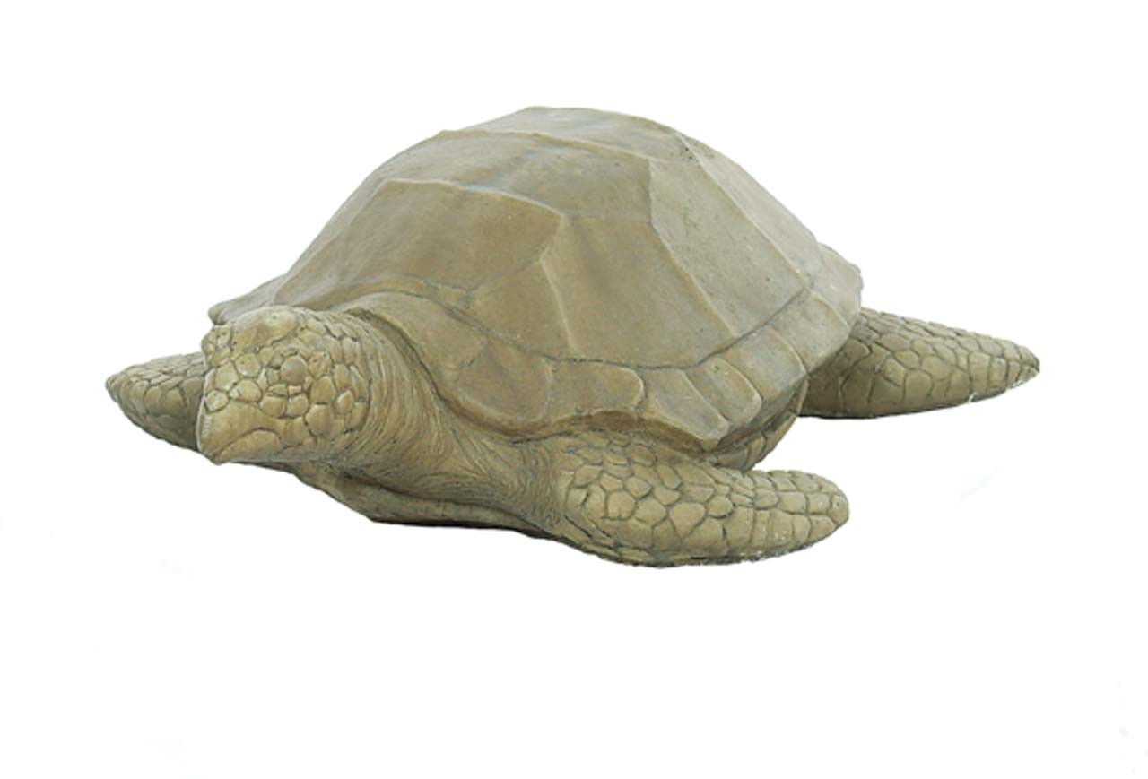 Large Sea Turtle