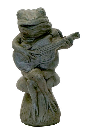 Frog with Guitar