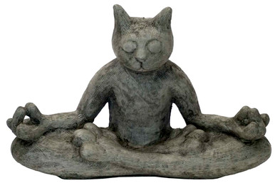 Meditating Cat