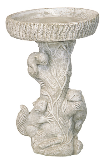 Fancy Squirrel / Log