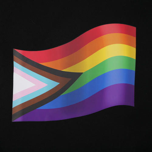 LGBTQ+ Pride Flag DTF Transfer for Shirts and Garments