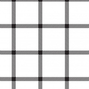 Window Pane Plaid Black White - HTV Pattern
