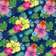 Hawaiian Party - HTV Pattern