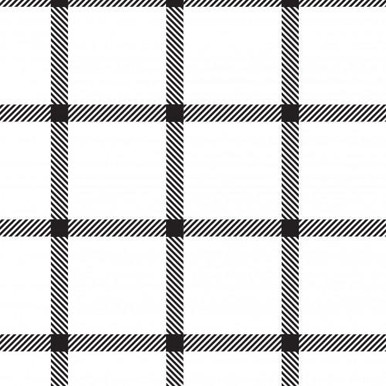 Window Pane Plaid Black White - HTV Pattern