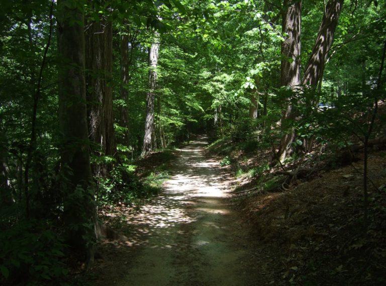 The 12 Best Spring Hikes in Birmingham - Alabama Outdoors