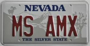 MS AMX Novelty Plate - Classic License Plates