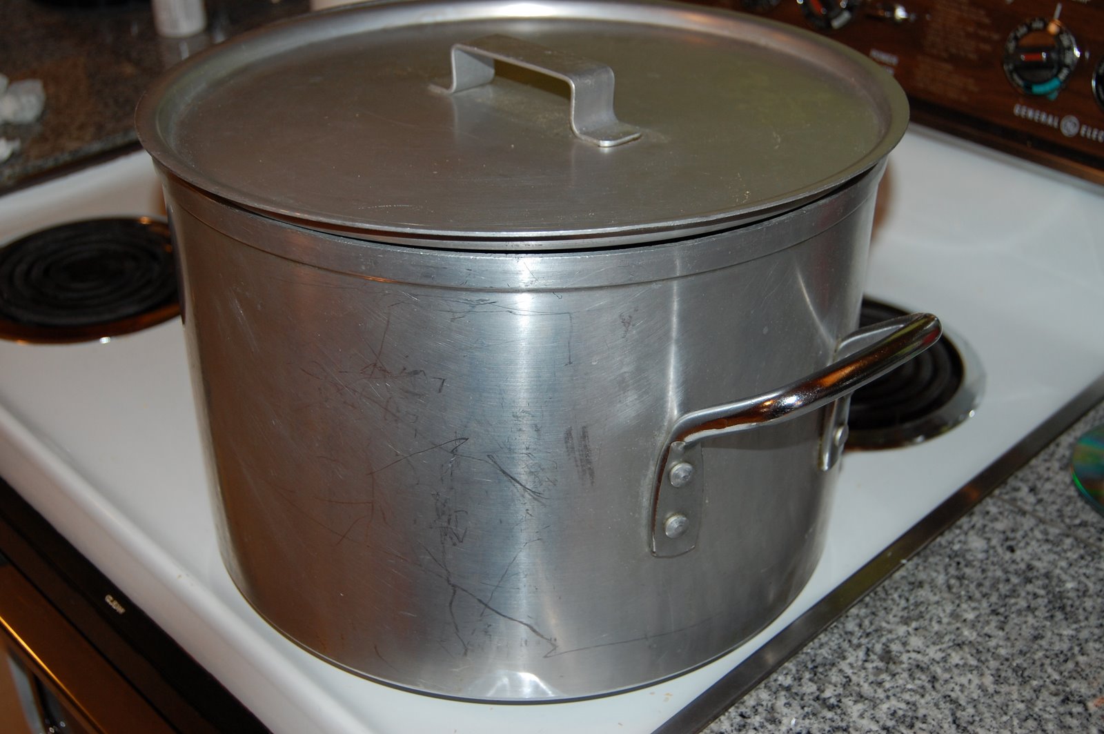 From the Kitchen - Baby Elephant Ears