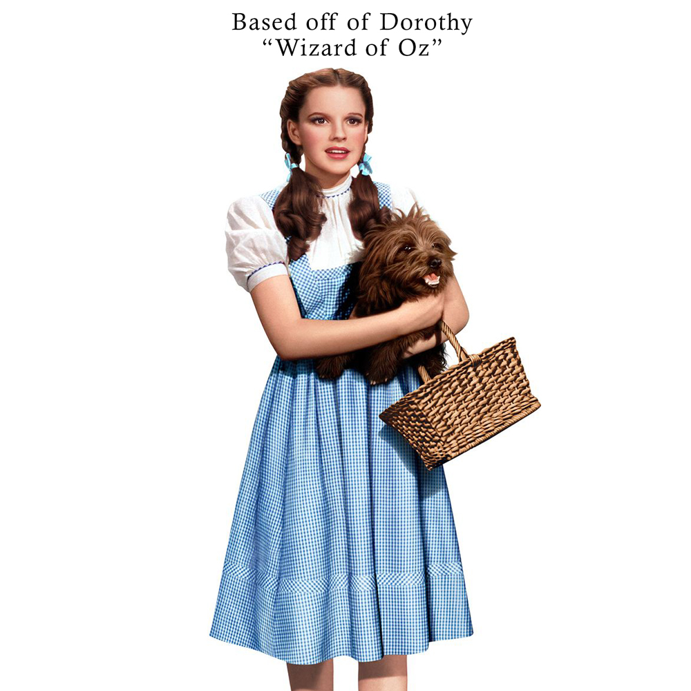Dorothy Goes to a Magical School