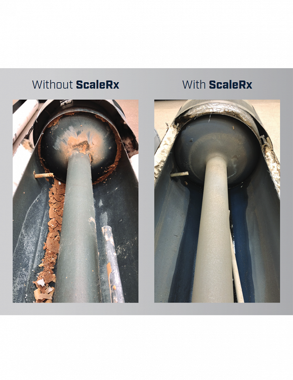 American Valve ScaleRX 1" Home Whole Home Scale Reduction System