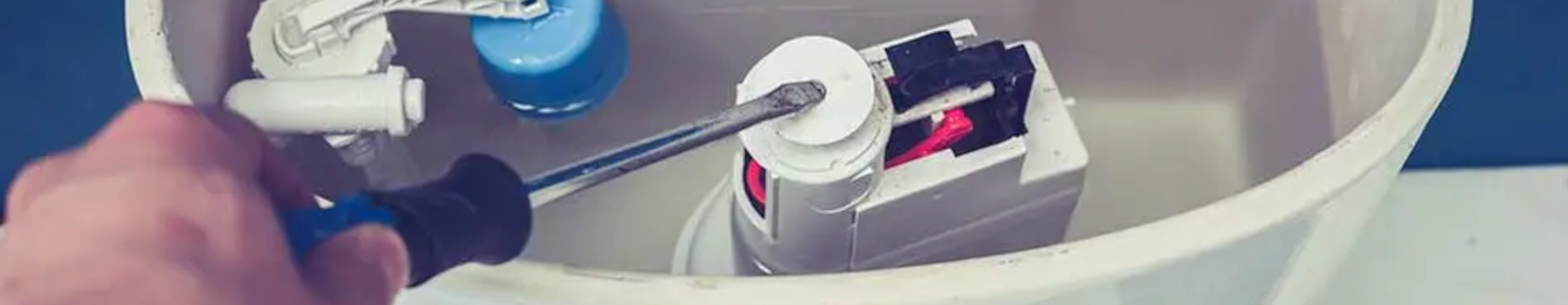 Buying Guides: Toto Universal Flapper vs Korky Universal Flapper ...