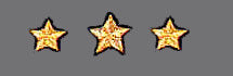 Civil War Rank Insignia – Confederate Colonel Collar Stars