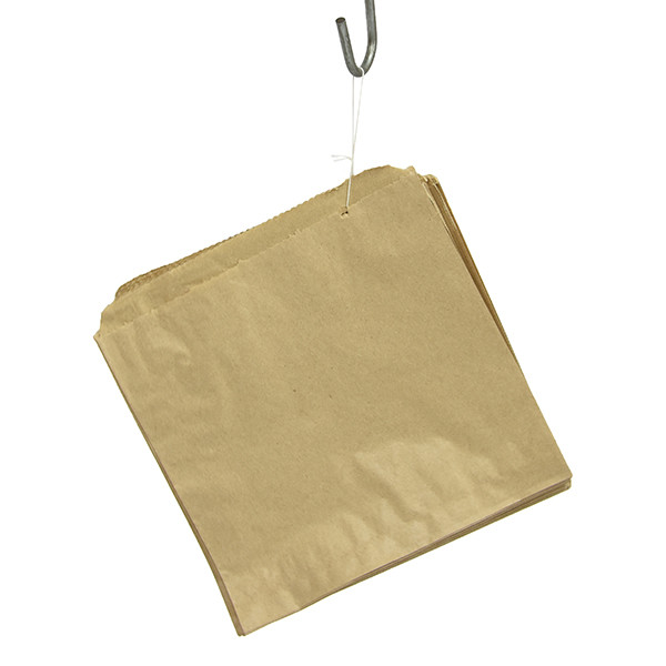 Brown Strung Paper Bags