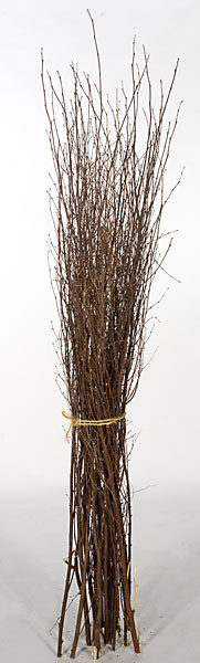 43 Inch Artificial Thorn Twig Stick Bundle | Autograph Foliages