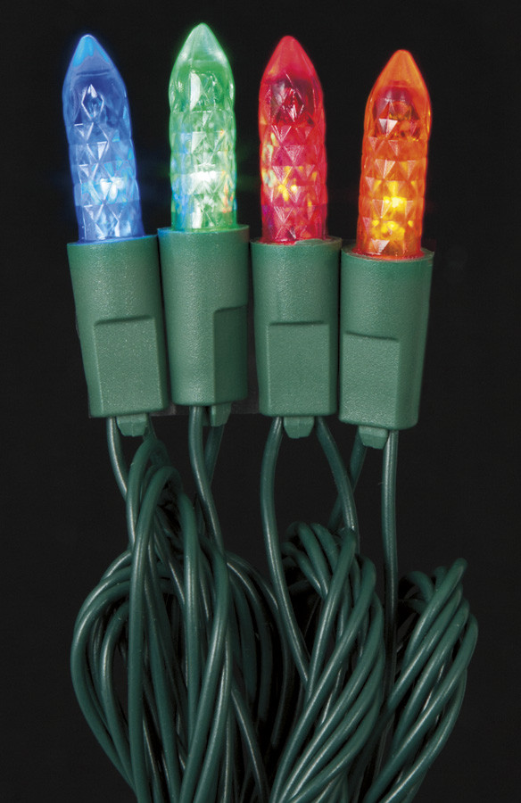 Additional Bluetooth Multi-Color LED Light Set | Autograph Foliages