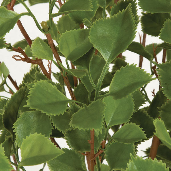 48 Inch Outdoor Birch Bush - Green | Autograph Foliages
