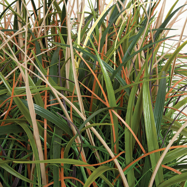 20 Inch x 14 Inch Polyblend Wild Meadow Grass Mat - Light Green, Tutone ...