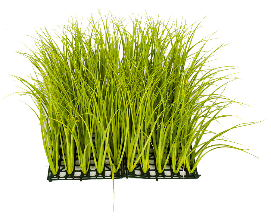 20"x14" Polyblend Wild Meadow Grass Mat Light/Tutone/Mixed | Autograph ...