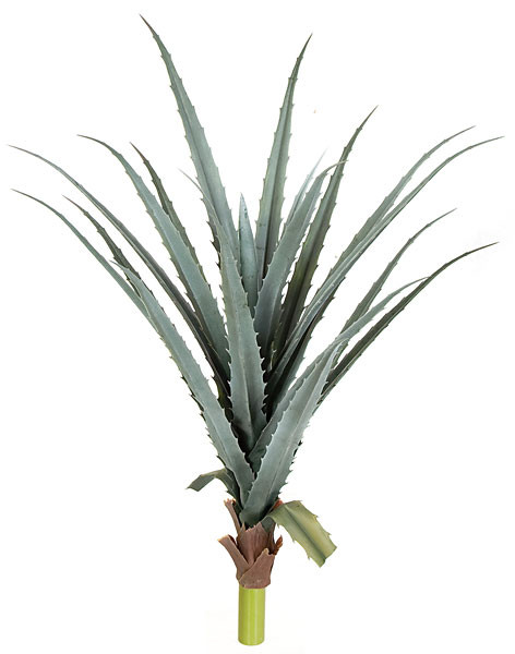 29" Frosted Green/Blue Dracaena Plant | Natural-like Dracaena Wholesale ...
